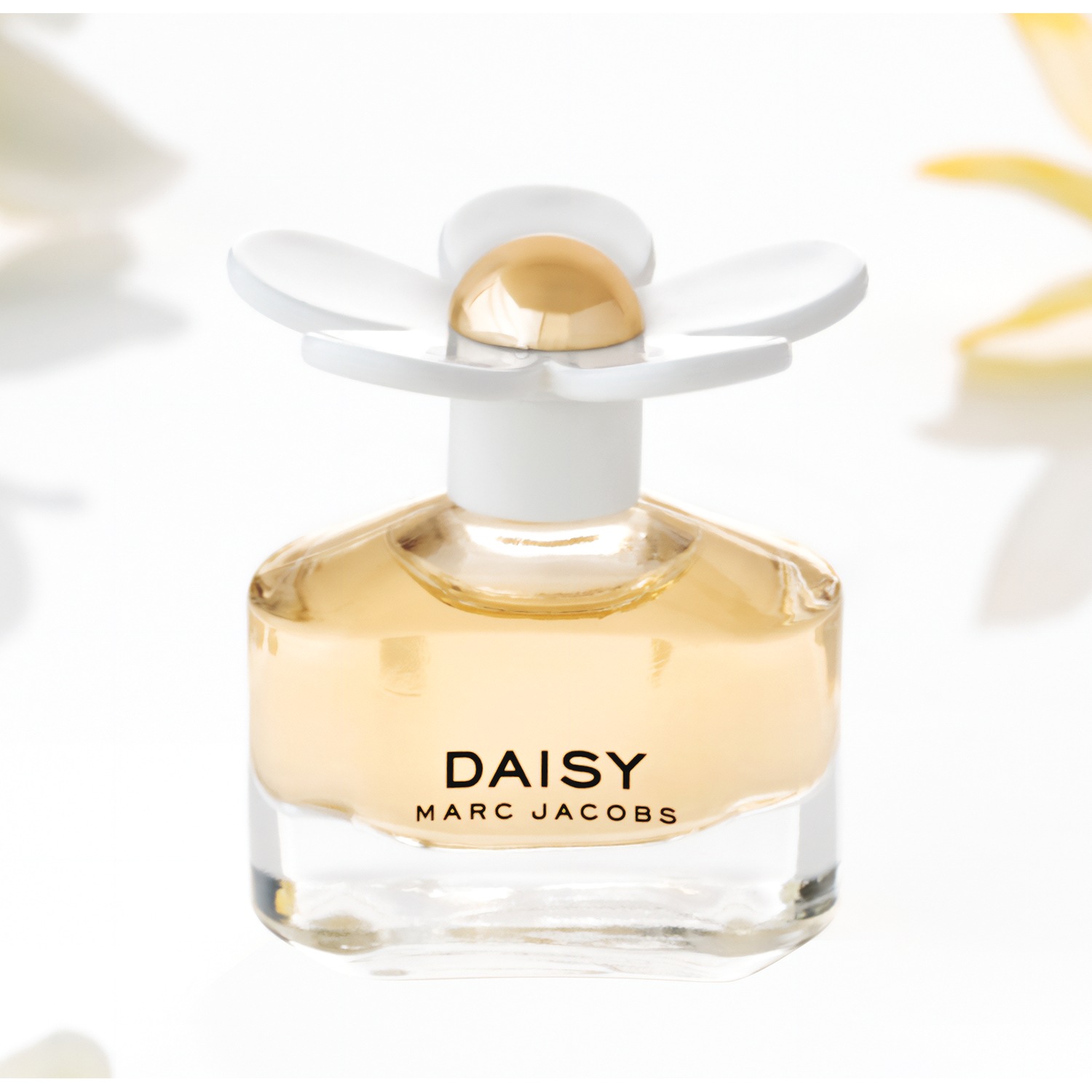 Marc Jacobs Daisy EDT Splash | Amerimark
